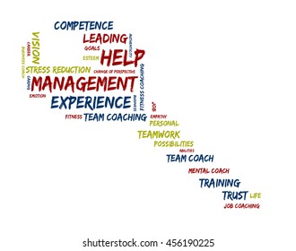 Management Experience Word Cloud Stock Illustration 456190225 ...
