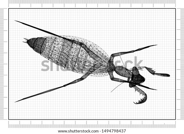 Mantis Blueprint 3d Rendering Stock Illustration 1494798437 | Shutterstock