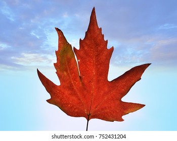 Stock Photo and Image Portfolio by adil nabi | Shutterstock