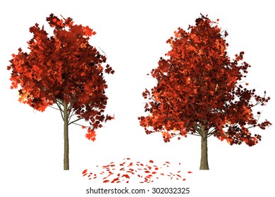 Maple Tree Isolated Stock Illustration 302032334