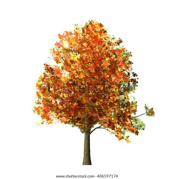 Maple Tree Isolated On White Background Stock Illustration 406597174 ...