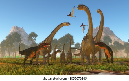 Proteles Images, Stock Photos & Vectors | Shutterstock
