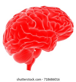 52,627 Brain red Images, Stock Photos & Vectors | Shutterstock