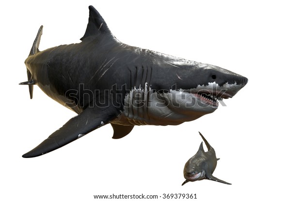 Megalodon Stock Illustration 369379361
