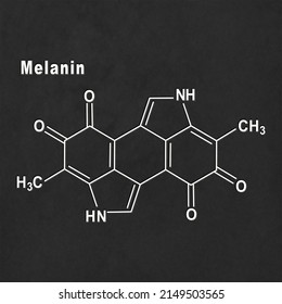Melanin Molecule Structural Chemical Formula White Stock Illustration ...