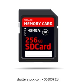 Memory Sd Card Various Devices Stock Vector (Royalty Free) 306145007