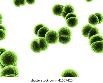Meningococcal meningitis Images, Stock Photos & Vectors | Shutterstock