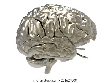 Metallic Brain On White Background Clipping Stock Illustration ...