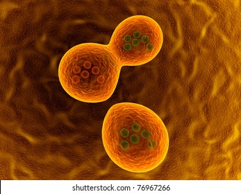 4,422 Human cells orange Images, Stock Photos & Vectors | Shutterstock