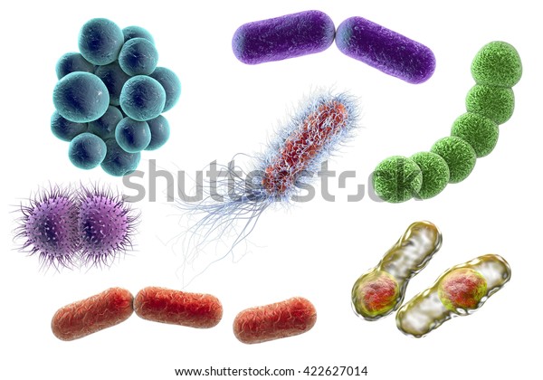 173,388 Isolated Bacteria Illustration Images, Stock Photos & Vectors ...