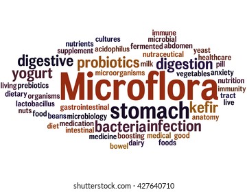 Microflora Word Cloud Concept On White Stock Illustration 427640710 ...