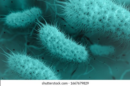 Microorganisms Under Microscope Microbes Germs Bacteria Stock ...