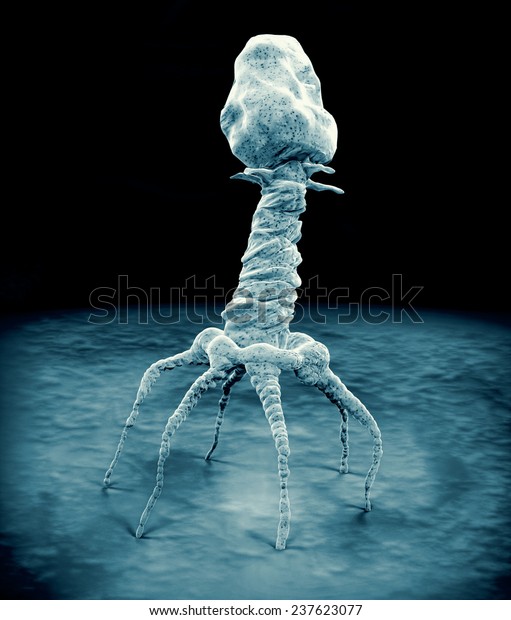Microscope View Bacteriophage Virus Stock Illustration 237623077