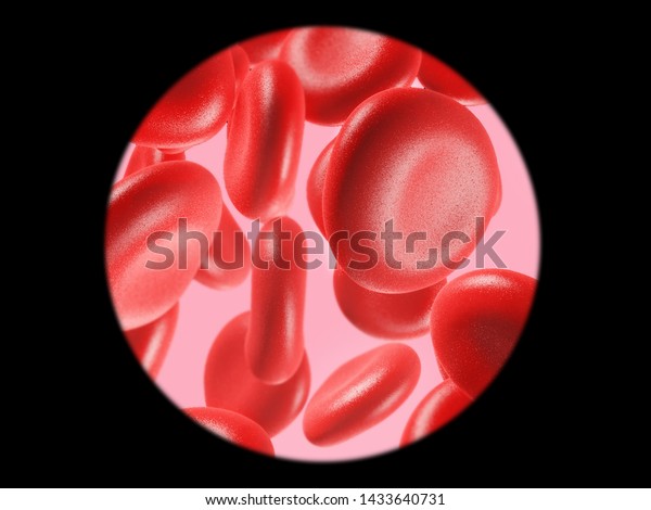 Microscope View Human Red Blood Cell Stock Illustration 1433640731 ...