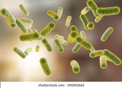 Microscopic Illustration Bacteria Model Bacteria Realistic Stock ...