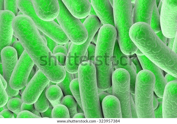 Microscopic Illustration Bacteria Model Bacteria Realistic Stock ...