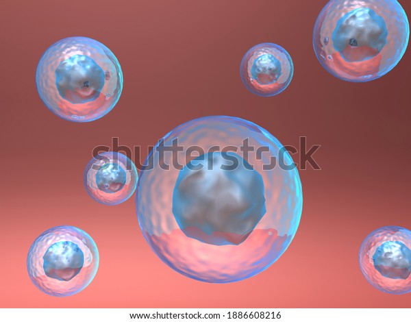 Microscopic View Human Cell 3d Illustration Stock Illustration ...