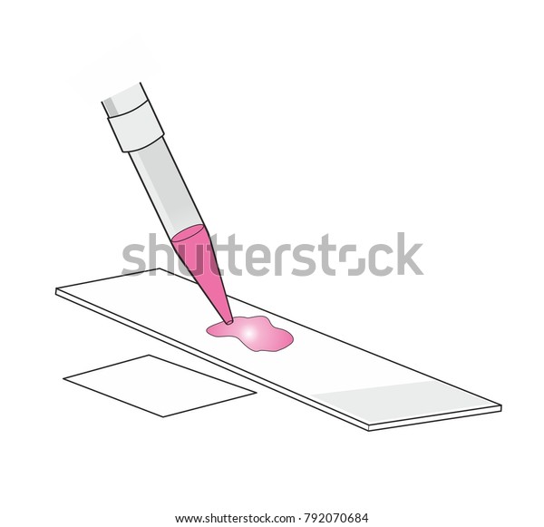 Microsope Slide Preparation Mounting Drop Liquid Stock Illustration ...