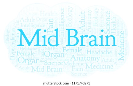 Mid Brain Word Cloud Stock Illustration 1171743271 | Shutterstock