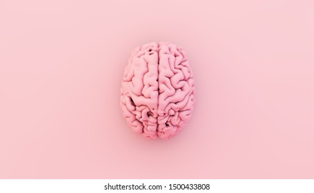 Minimal Pink Brain 3d Rendering Stock Illustration 1500433808 ...