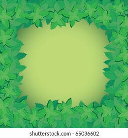 Mint Leaves Frame Stock Illustration 65036602 | Shutterstock
