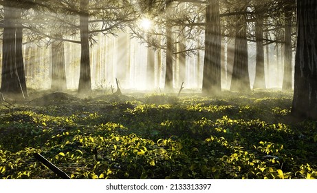 Misty Forest Sunset 3d Rendering Stock Illustration 2133313397 ...