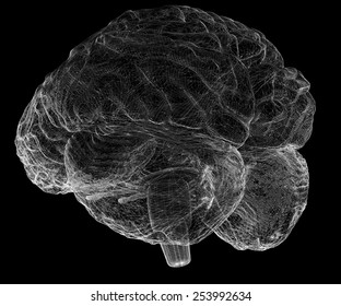 Model Brain Projections Body Structure Wire Stock Illustration ...