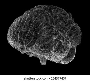 Model Brain Projections Body Structure Wire Stock Illustration ...