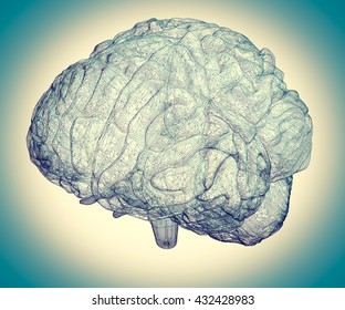 Model Brain Projections Body Structure Wire Stock Illustration ...