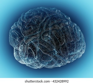 1,824 Brain Wrinkles Images, Stock Photos & Vectors | Shutterstock