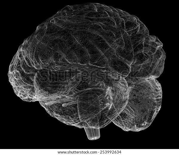 Model Brain Projections Body Structure Wire Stock Illustration ...