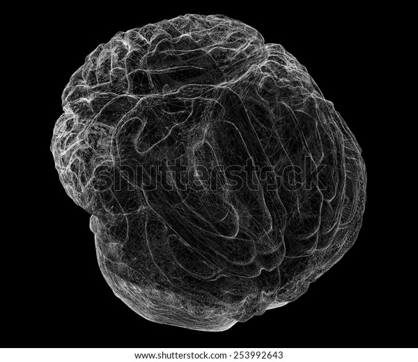 Model Brain Projections Body Structure Wire Stock Illustration ...