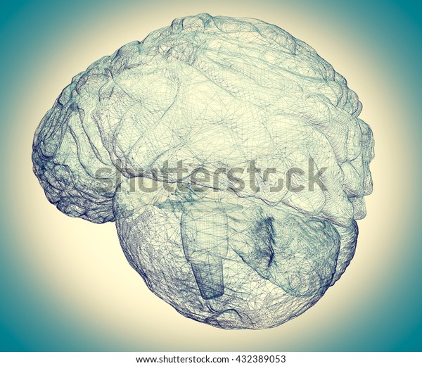 Model Brain Projections Body Structure Wire Stock Illustration ...