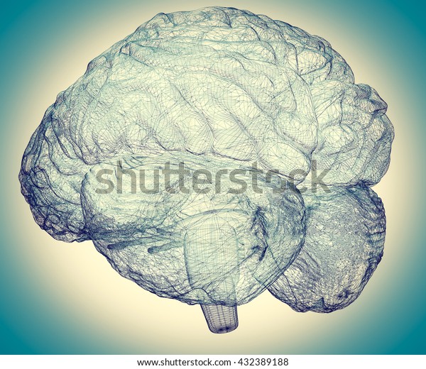 Model Brain Projections Body Structure Wire Stock Illustration ...