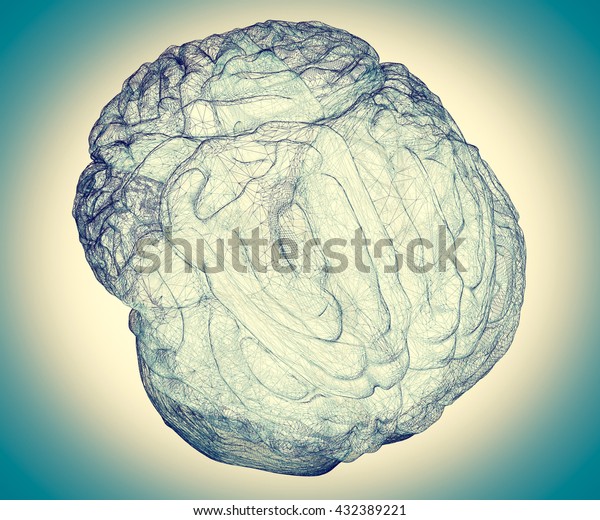 Model Brain Projections Body Structure Wire Stock Illustration ...