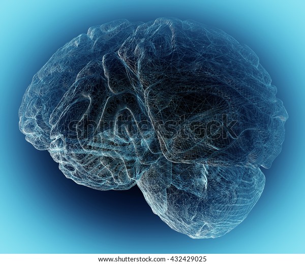 Model Brain Projections Body Structure Wire Stock Illustration ...