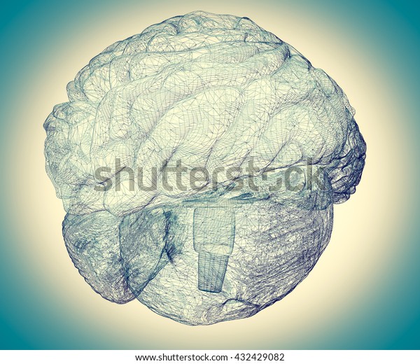 Model Brain Projections Body Structure Wire Stock Illustration ...