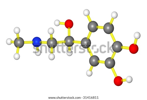 Molecular Model Adrenaline Stock Illustration 31416811 | Shutterstock