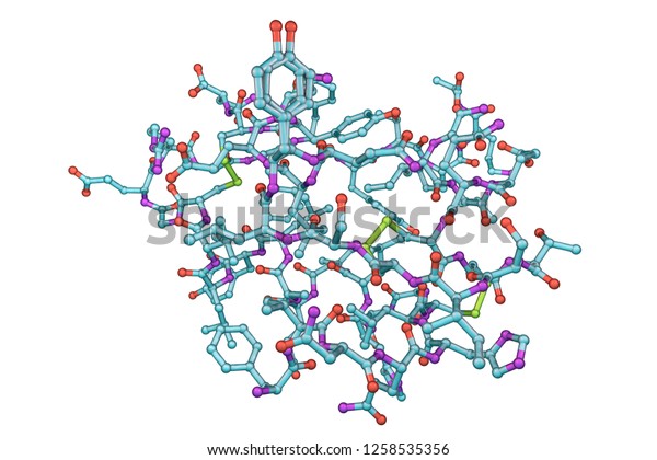 Molecular Model Insulin Hormone 3d Illustration Stock Illustration 1258535356