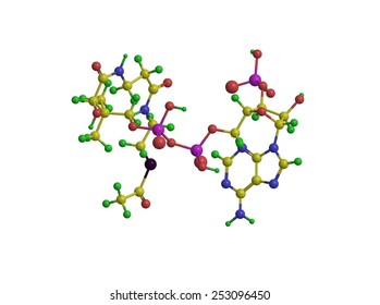 Molecular Structure Acetyl Coenzyme Acetyl Coa Stock Illustration ...