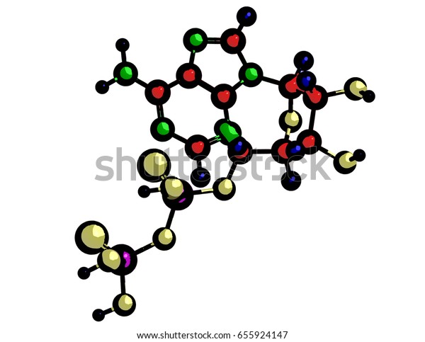 Molecular Structure Adenosine Diphosphate Adp Important Stock ...
