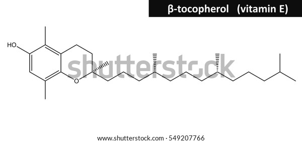Molecular Structure Beta Tocopherol Compound Belongs Stock Illustration ...