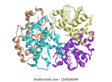 Molecular Structure Hemoglobin 3d Rendering Stock Illustration ...