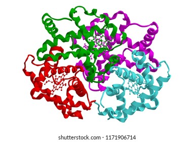 Molecular Structure Hemoglobin 3d Rendering Stock Illustration ...