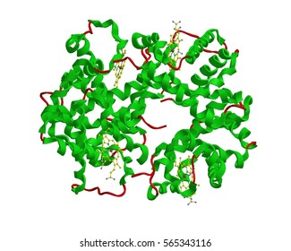 Molecular Structure Hemoglobin Compound Iron Containing 스톡 일러스트 565343116