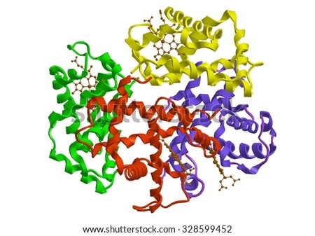 Molecular Structure Hemoglobin Iron Containing Oxygentransport Stock ...