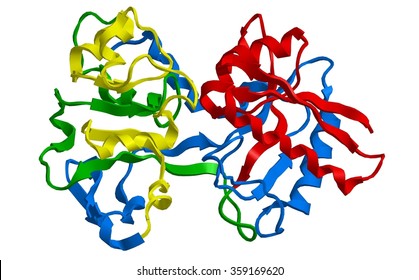 110 Transferrin Images, Stock Photos & Vectors | Shutterstock