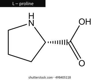 62 L Proline Bilder, Stockfotos und Vektorgrafiken | Shutterstock