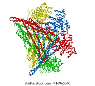 Imágenes, fotos de stock y vectores sobre Glicoproteina | Shutterstock