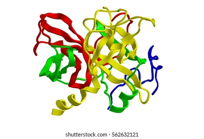 Molecular Structure Protein Thrombin 3d Rendering Stock Illustration ...